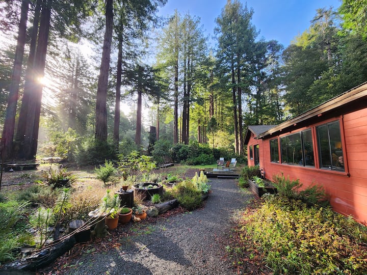 Pacific Redwood Hideaway - Fort Bragg, CA