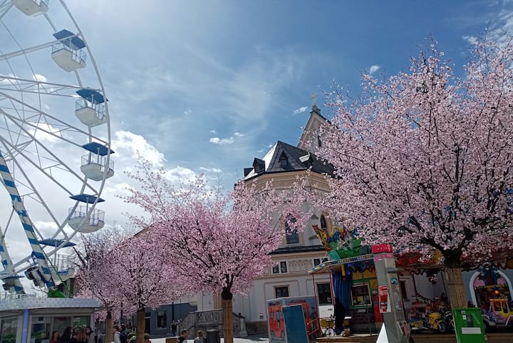 Room In Community - Rosenheim