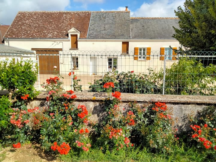 Maison Dans Les Vignes - Proche Chenonceau Beauval - Chenonceaux