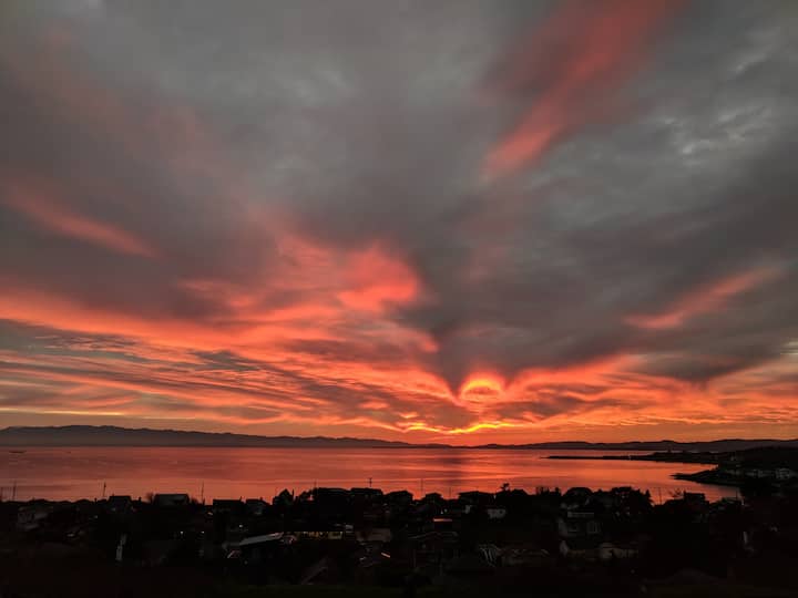 Luxury Home With Stunning Ocean View In Oak Bay - Oak Bay