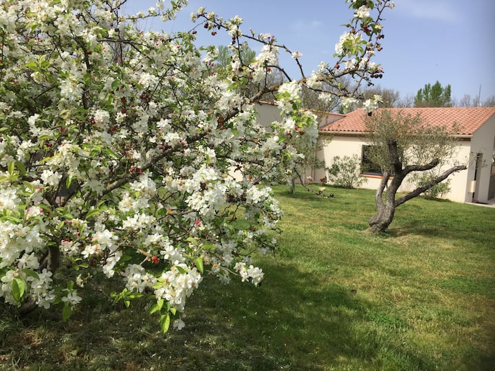 Maison Très Lumineuse , Fibre Wifi, Climatisée - Tarn