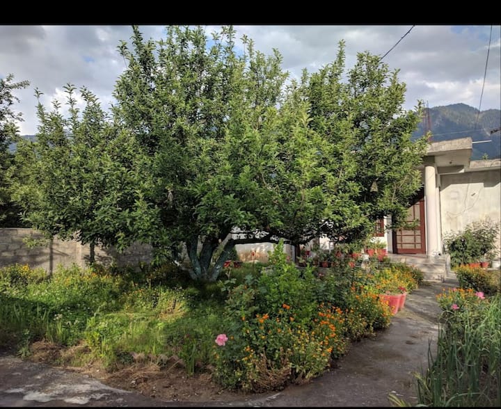 Paul Cottage - Studio Room (Includes Pvt Kitchen) - Manali