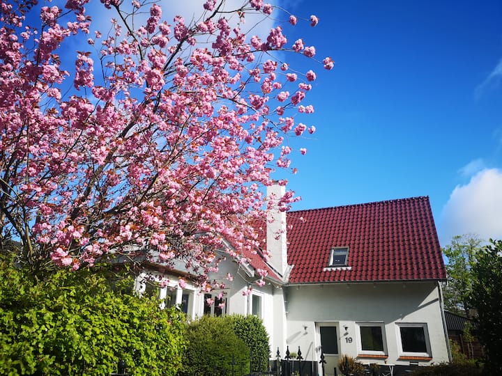 245 M2 Super 'Hyggelig' Villa - Dinamarca