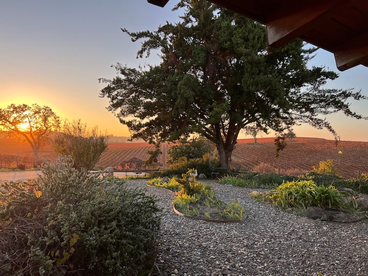Entire Hobby Farm, Surrounded By Vineyards - Paso Robles, CA