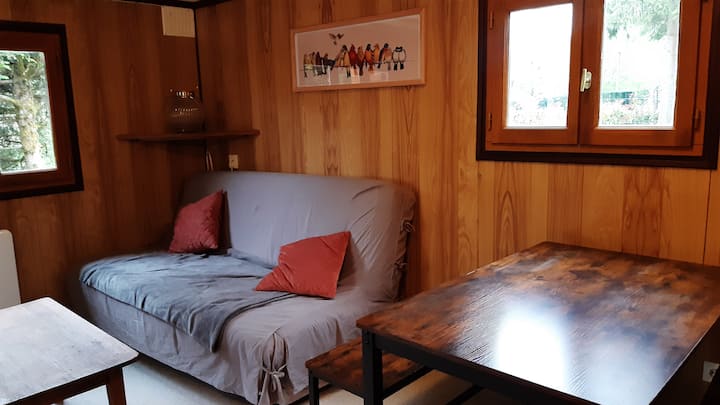 Chalet En Auvergne - Thiers