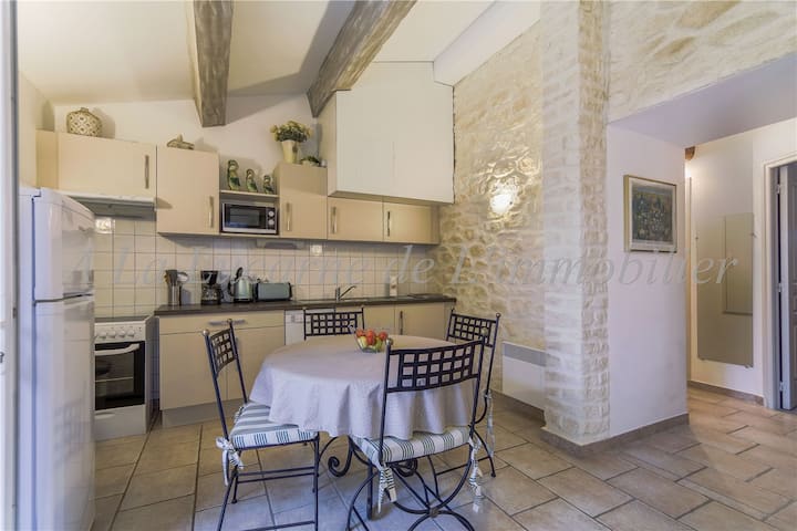 Appartement 2 Pièces Provencal Avec Terrasse - Gréoux-les-Bains