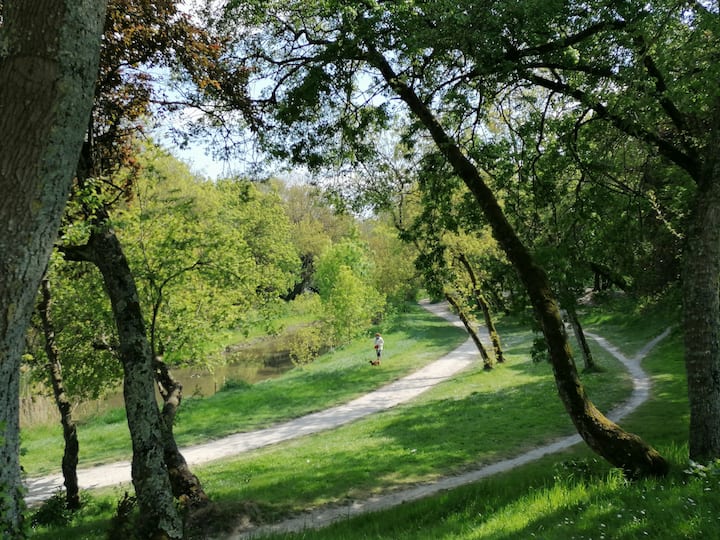 Dans Un Quartier Tranquille Tout Près Du Centre - La Rochelle