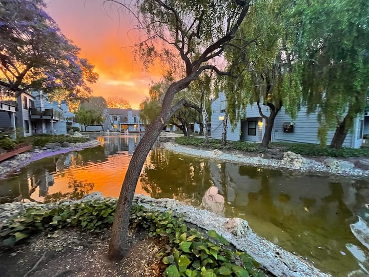 Suburban Waterside Oasis - Mountain View, CA