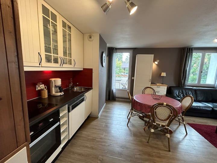 App 4 Versoie Avec Parking Et Balcon - ibis Thonon Centre