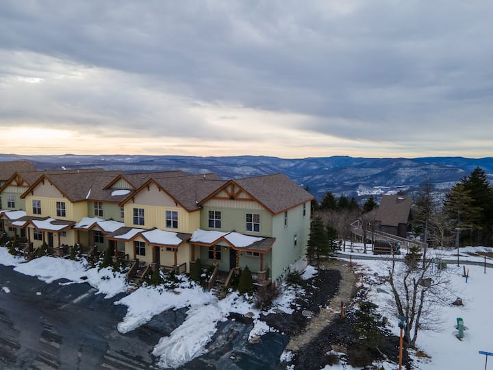 Black Bear 4br/3.5ba - Steps From Lift Pvt Hot Tub - Seneca State Forest, Dunmore