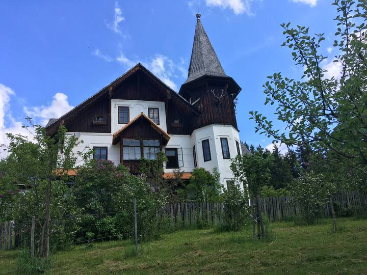 Fewo Mit Charme Inbad Mitterndorf - Bad Mitterndorf