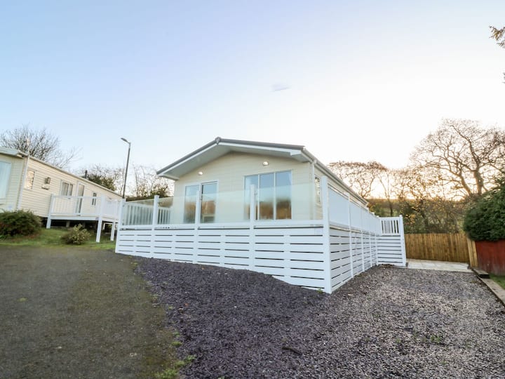 Beautiful Beechwood Lodge At Borth - Machynlleth