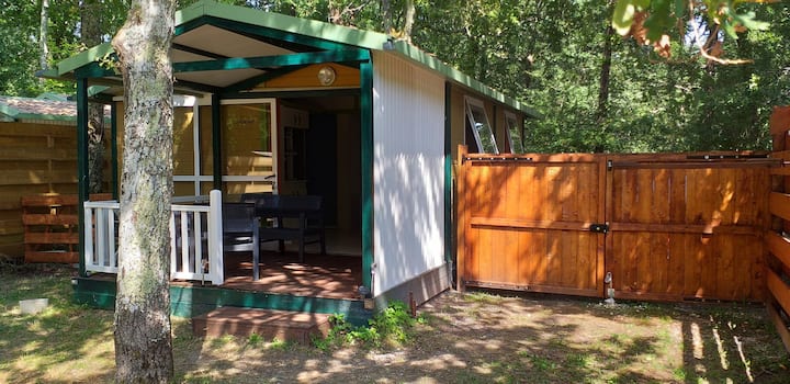 Chalet Lacanau Lake Narsot - Étang de Lacanau