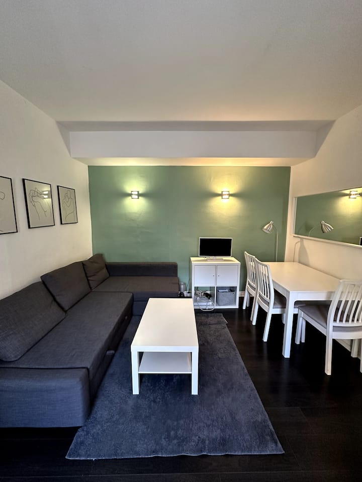 Appartement Chaleureux - Croix-rousse/centre-ville - 