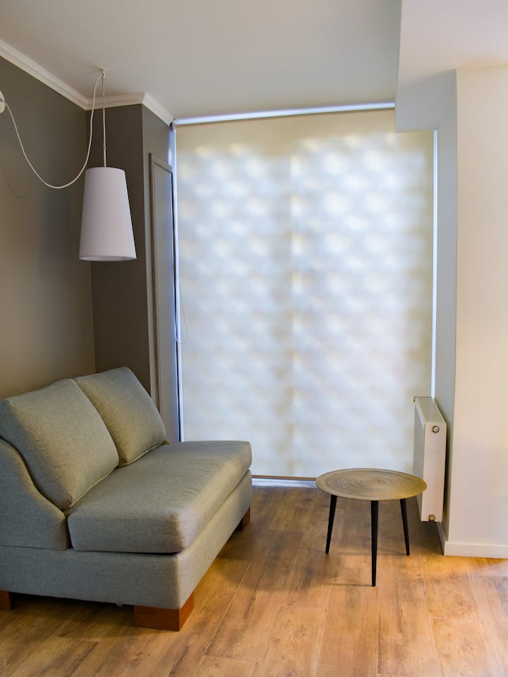 Private 2 Ambients Apartment, Finely Furnished. - Santiago