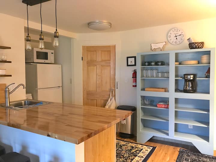 65 North Union, Burlington Apartment - Burlington, VT