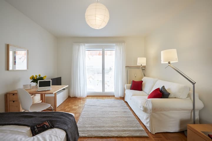 Lovely One Room Flat In Historic Centre (Sch1305) - Basel