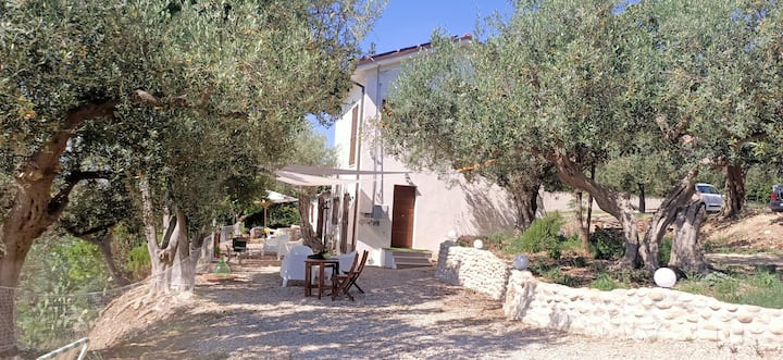 Fossacesia Alloggi e case vacanze - Abruzzo, Italia | Airbnb Fossacesia Alloggi e case vacanze - Abruzzo, Italia | Airbnb