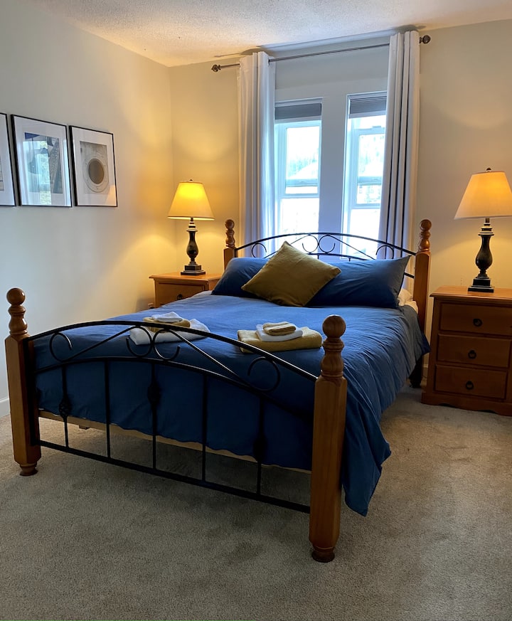 The Jacky Winter - Mount Washington