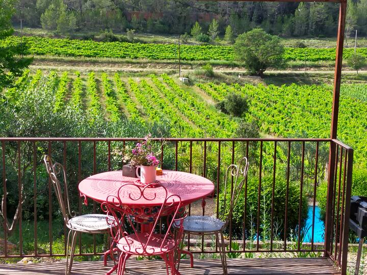 Le Figuier Gîte Privé De Charme Piscine 30' Verdon - Carcès