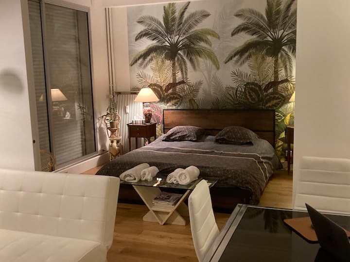 Angers Hypercentre 3 Pièces 75m2 Standing 5 Pers. - Angers