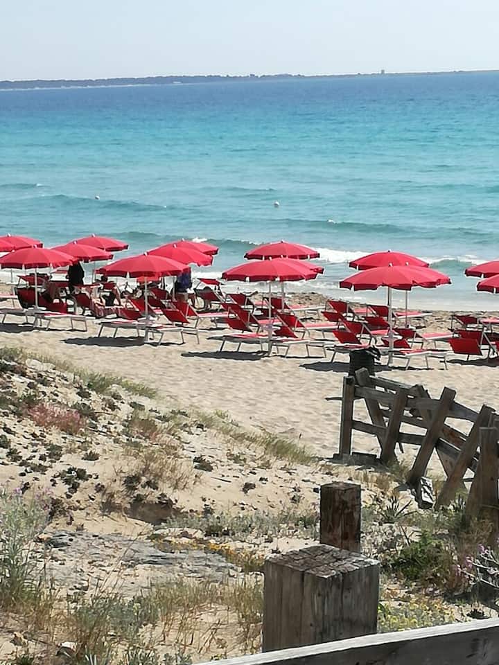 By Gallipoli - Alezio