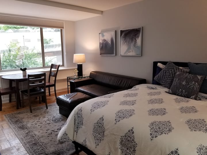 Recently Renovated & Spacious Studio In Arlington - Arlington, VA