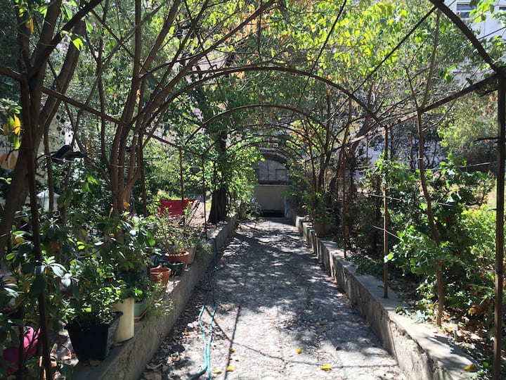 Chambre En Rez De Jardin Au Centre De Marseille - マルセイユ