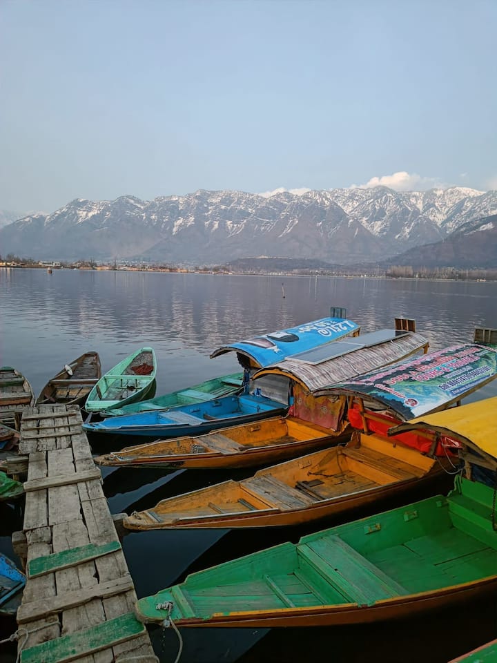Island Homestay And Hotel - Srinagar