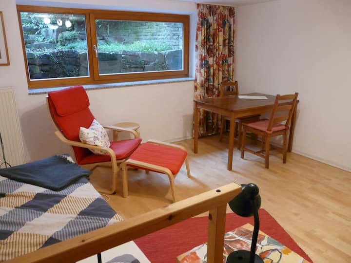 Helles Souterrainzimmer, Zentral Und Grün Gelegen - Bonn