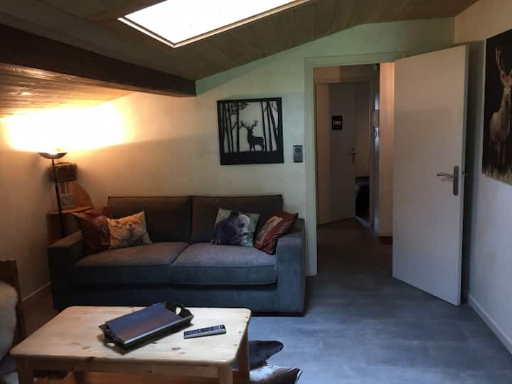 Appartement Au Centre Du Village De La Clusaz - La Clusaz