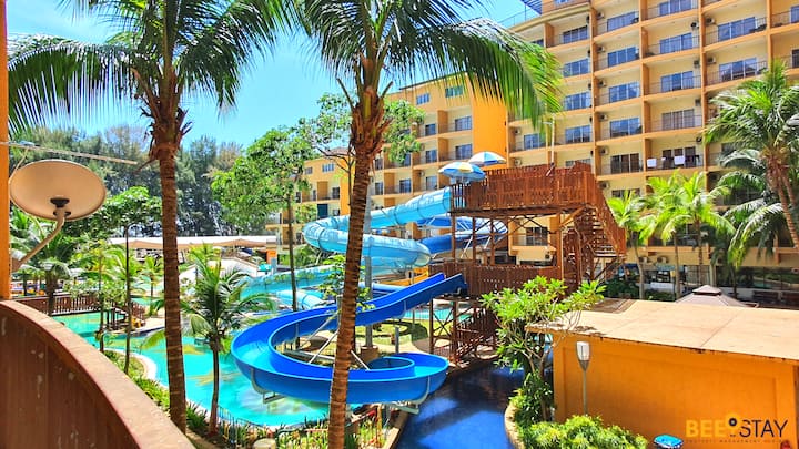 Studio | Gold Coast Morib [A1423] - Morib