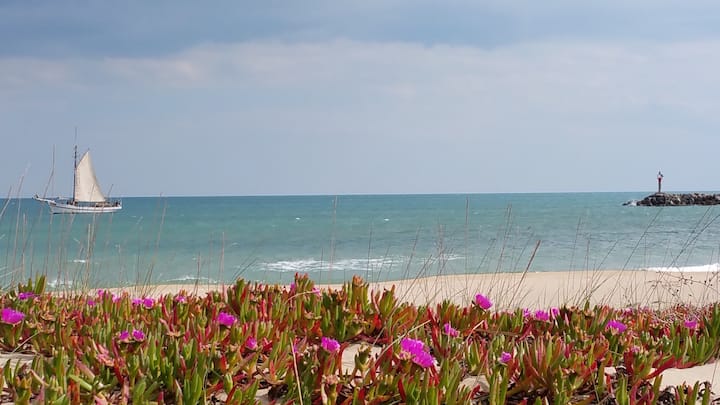 Appartement Dans Village Naturiste En Bord De Mer - Leucate