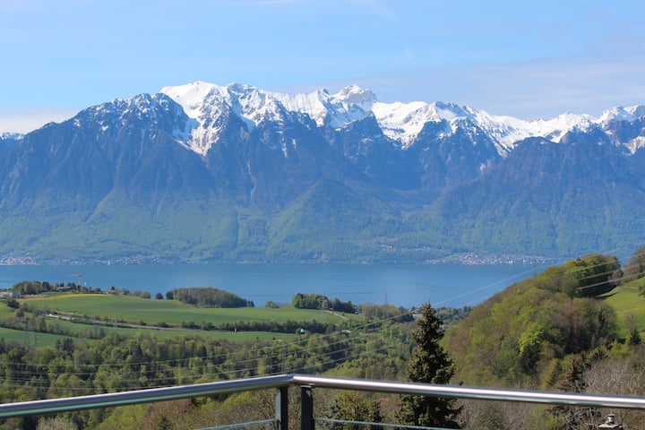 Maison Moderne Entre Lac Et Montagne - Montreux