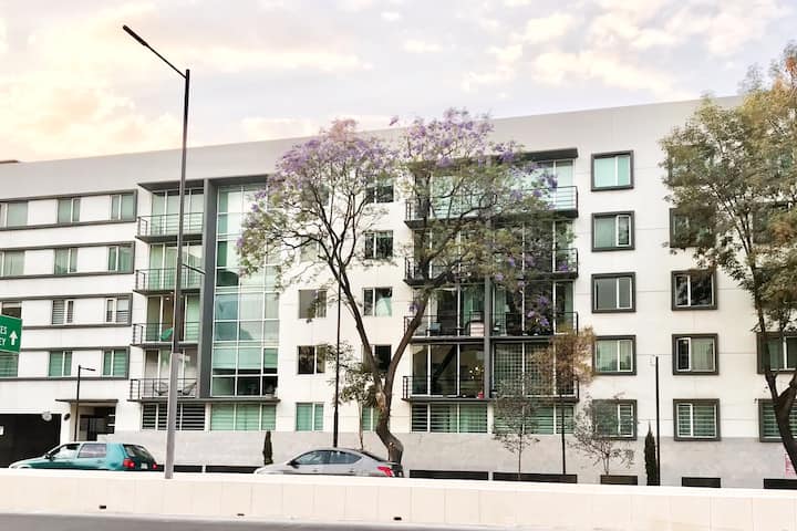 At The Heart Of Restaurants And Night Life - Mexico City