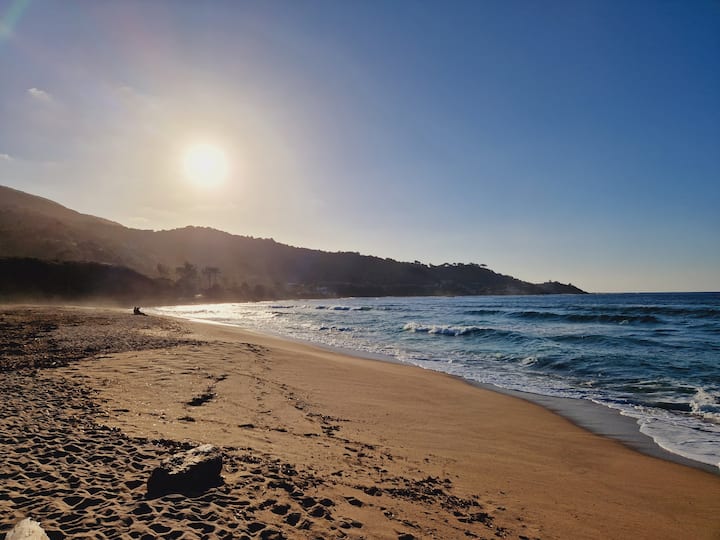 Studio Avec Grande Terrasse - Plage 3min à Pied - Sagone