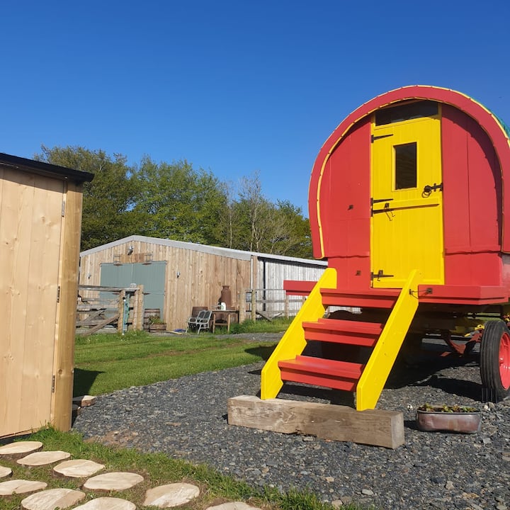 Glamping Gypsy Wagon In New Quay West Wales - New Quay