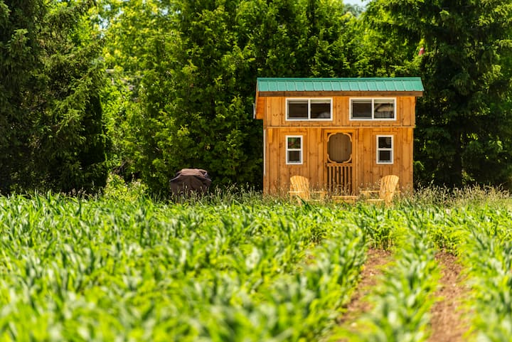Boho Beaver Cabin 2 With Saltwater Hot Tub - Thornbury