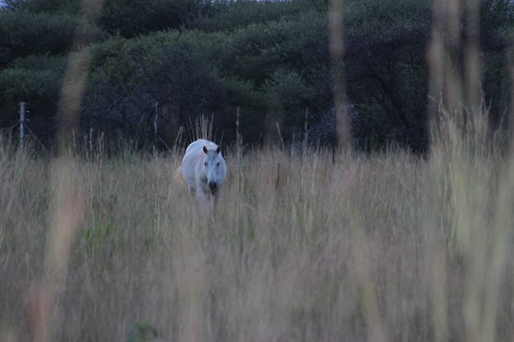 Mpumalanga Cottage Vacation Rentals - South Africa | Airbnb