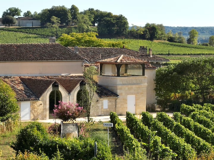 Le Logis De Colette - Saint-Émilion