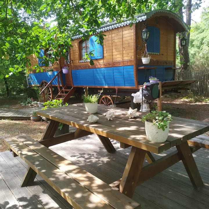 Roulotte Authentique Tout Confort - Pessac