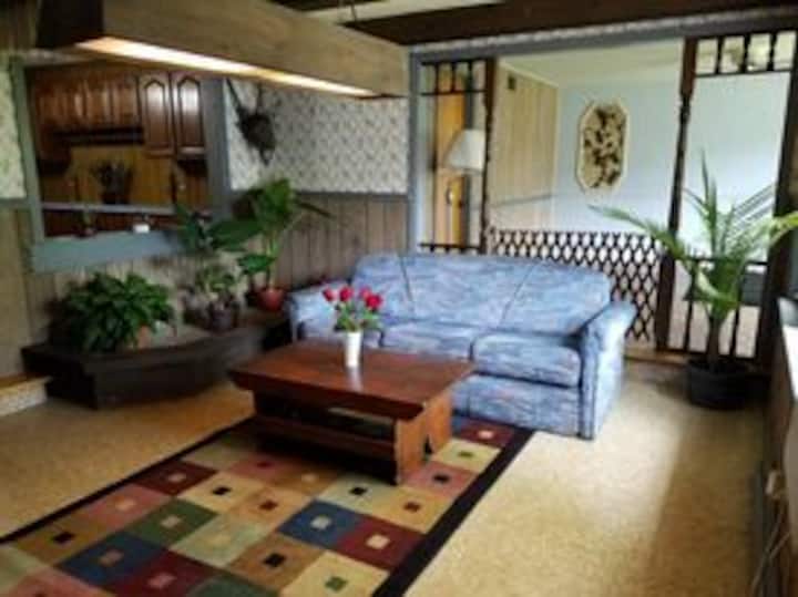 Shared Living Room In A House. - Cary, IL