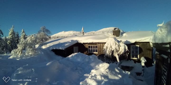 Midt I "Smørøyet" På Lifjell - Noruega