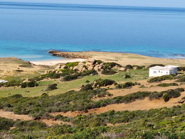 Kef Abed Holiday Rentals & Homes - Tunisia | Airbnb