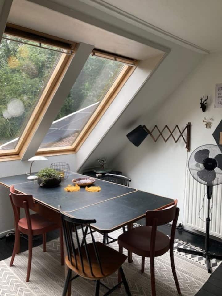 Een Fries Boshuis: Kamer De Vliegende Vis - Friesland
