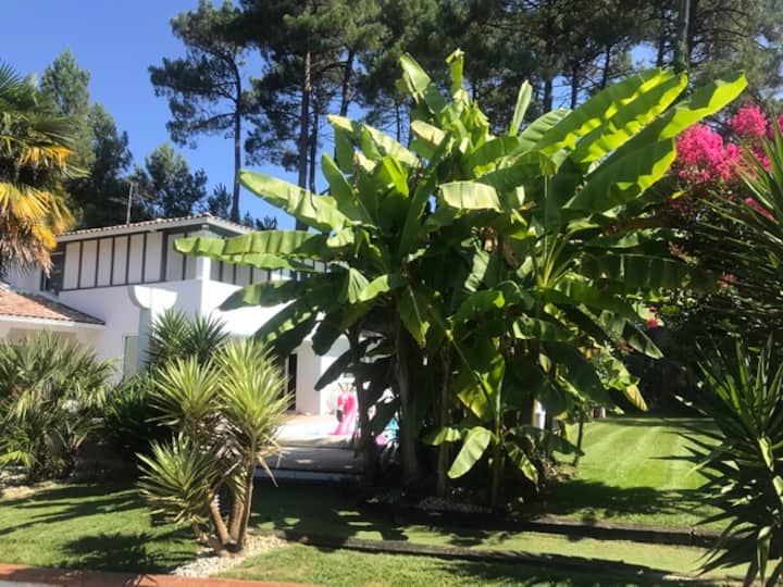 Villa 200m2 Soorts Hossegor Piscine Chauffée - Soorts-Hossegor