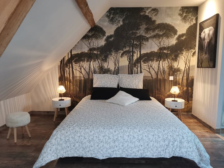 Chambre D'hôte Près Zoo De Beauval Et Chtx Loire - Selles-sur-Cher