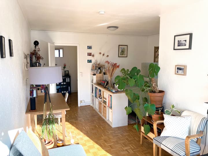 Grand Studio Avec Balcon - Buttes Chaumont - Paris