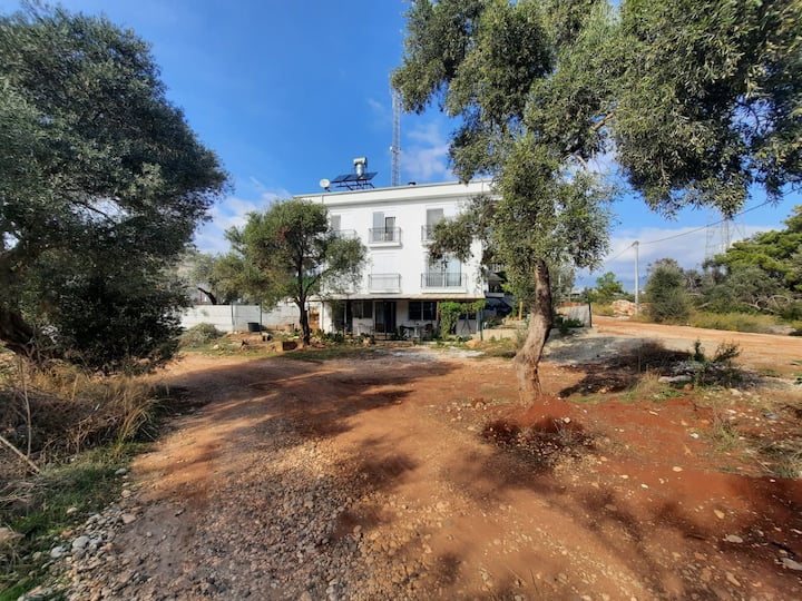 Kekova, Next To The Forest, 350m To The Sea - Kekova Adası