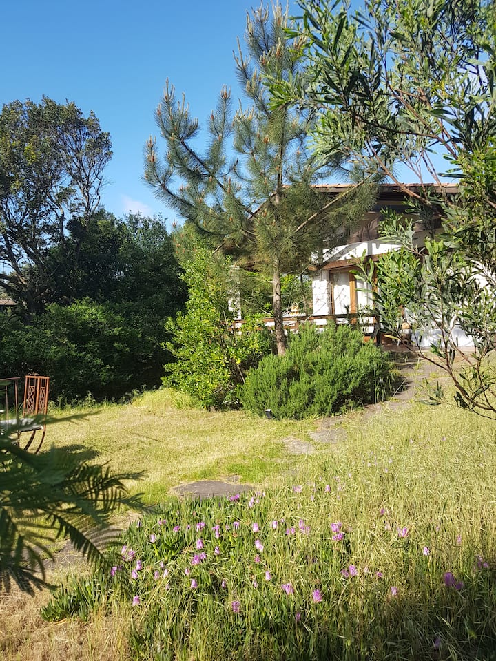 Maison 100m2 Cap Ferret Plein Centre - Arcachon Bay